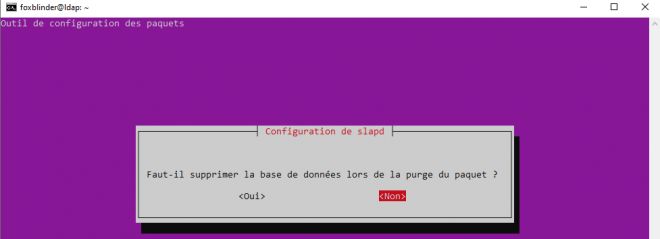 Mise En Place Dun Service Ldap Avec Dopenldap Et Phpldapadmin Bitsparadise